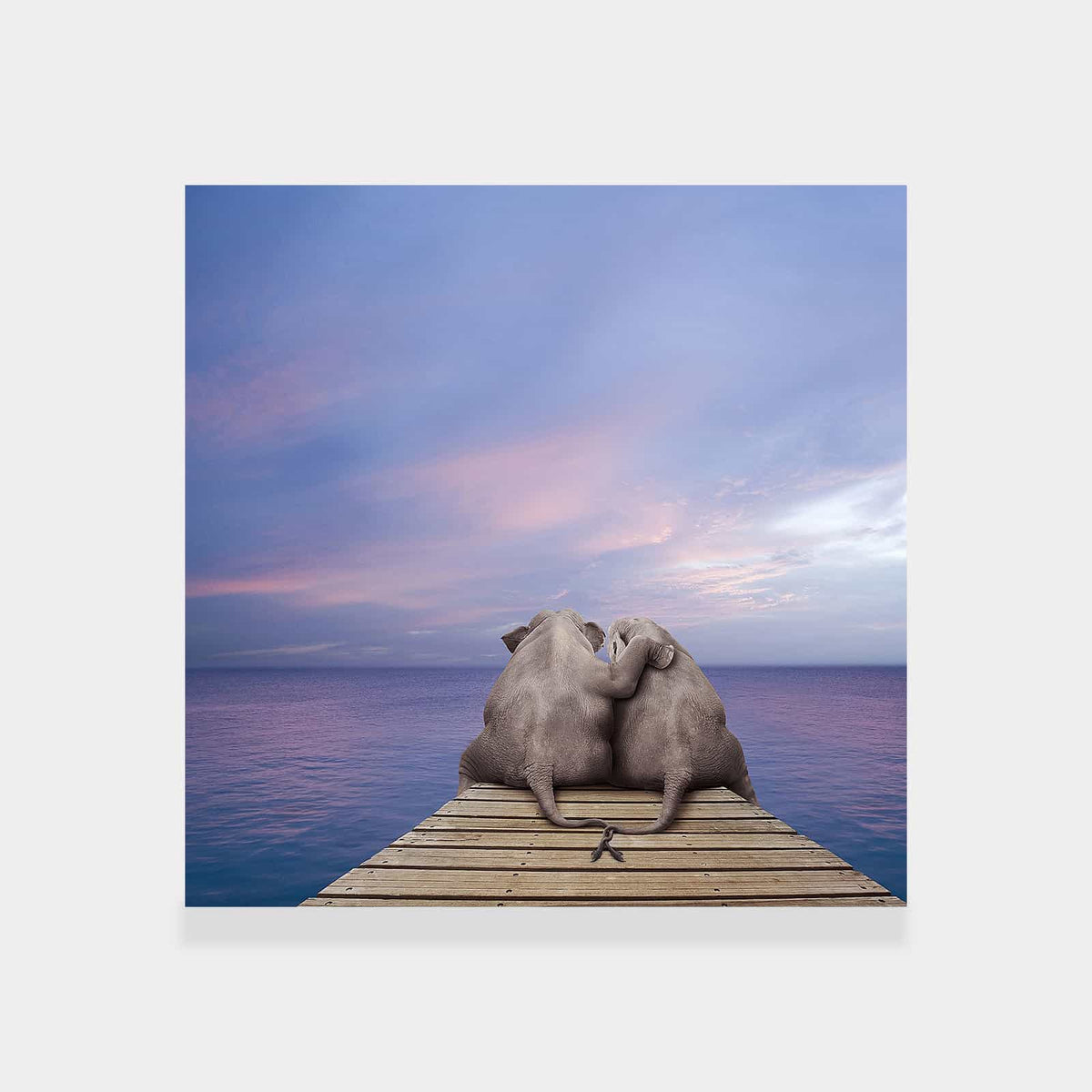 Pachyderm Pier – Printano LLC